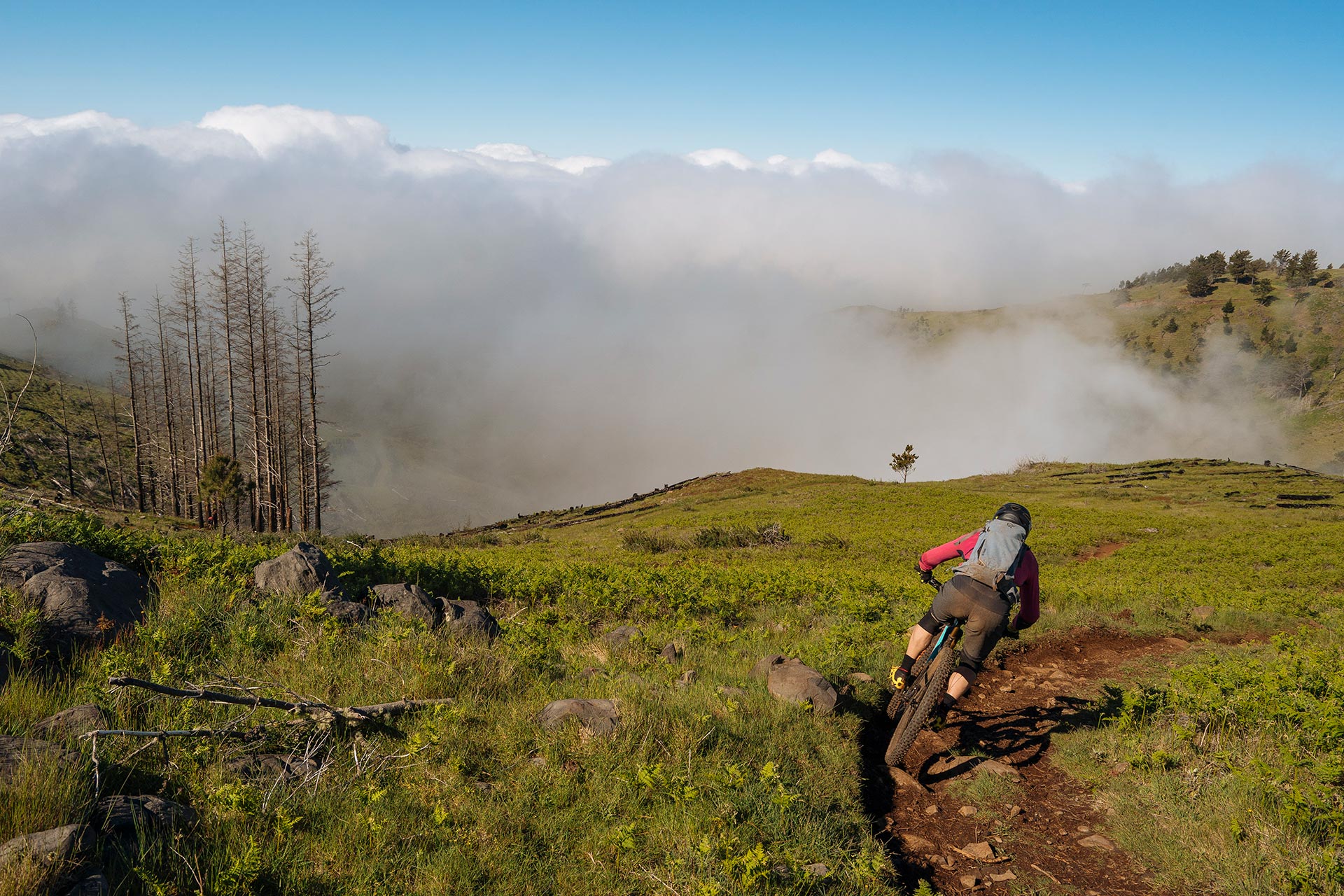 Trans Madeira: Opening minds and working together - Freeride Mountain ...